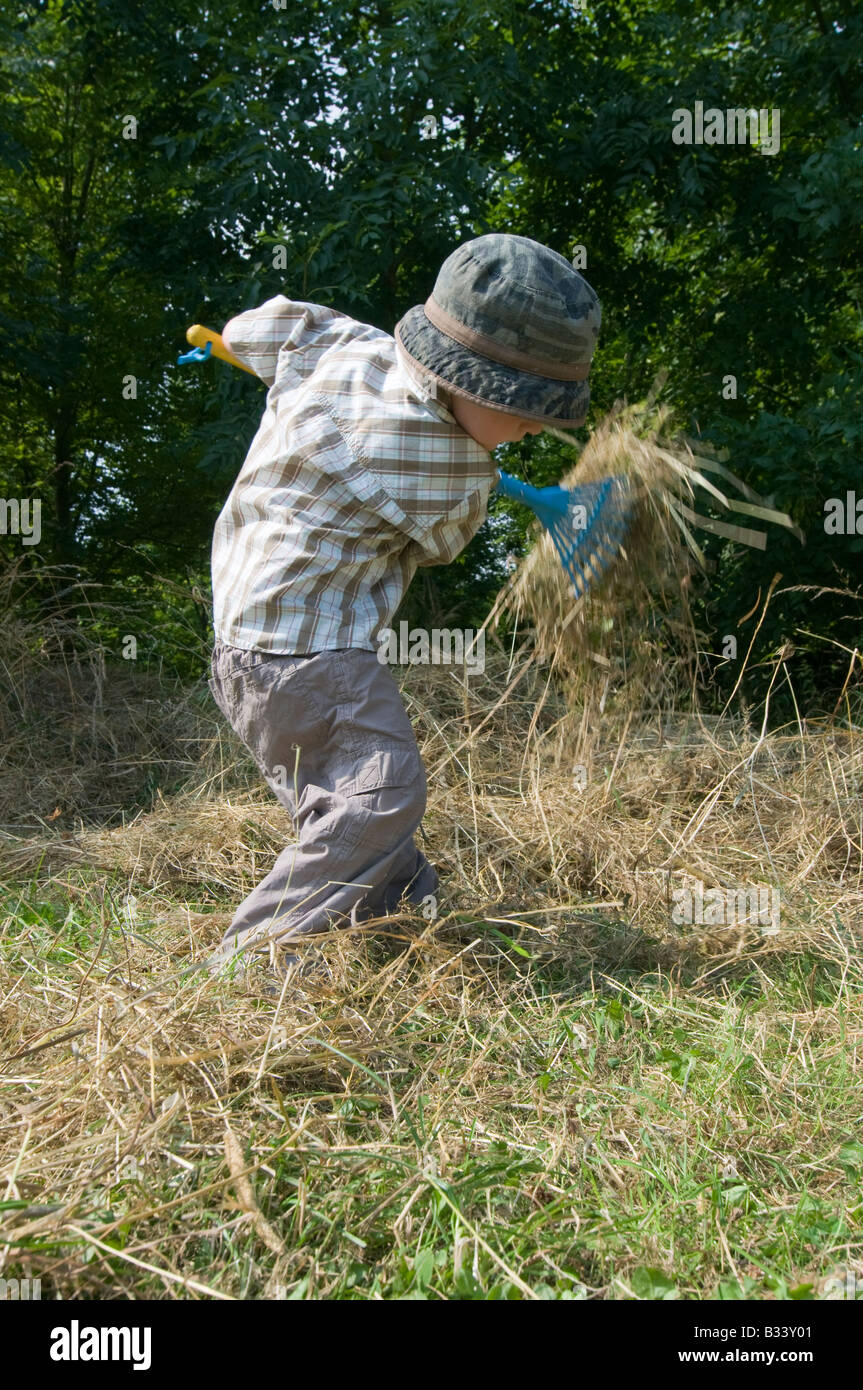 Small boy raking hay Stock Photo - Alamy