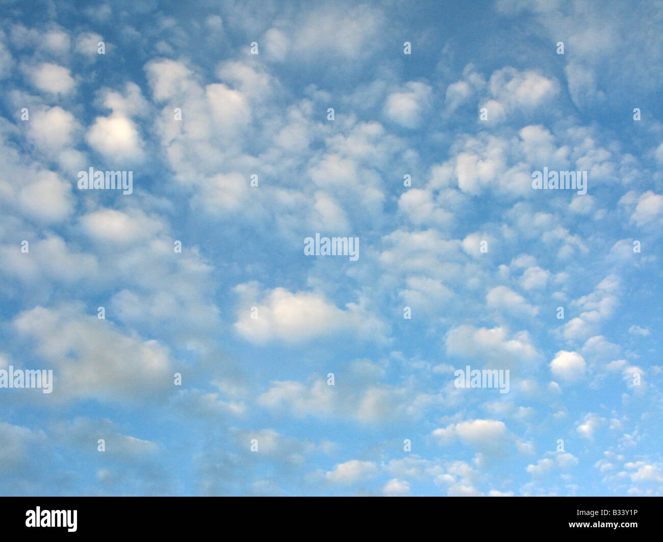 Alto cumulus cloud formation in blue summer sky Stock Photo - Alamy