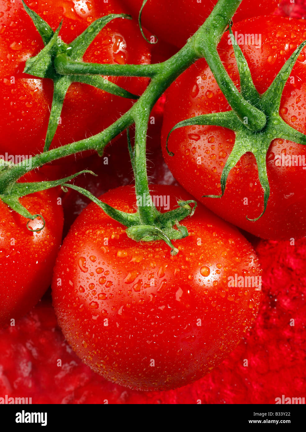 Red tomato fruit with water drop on red Stock Photo - Alamy