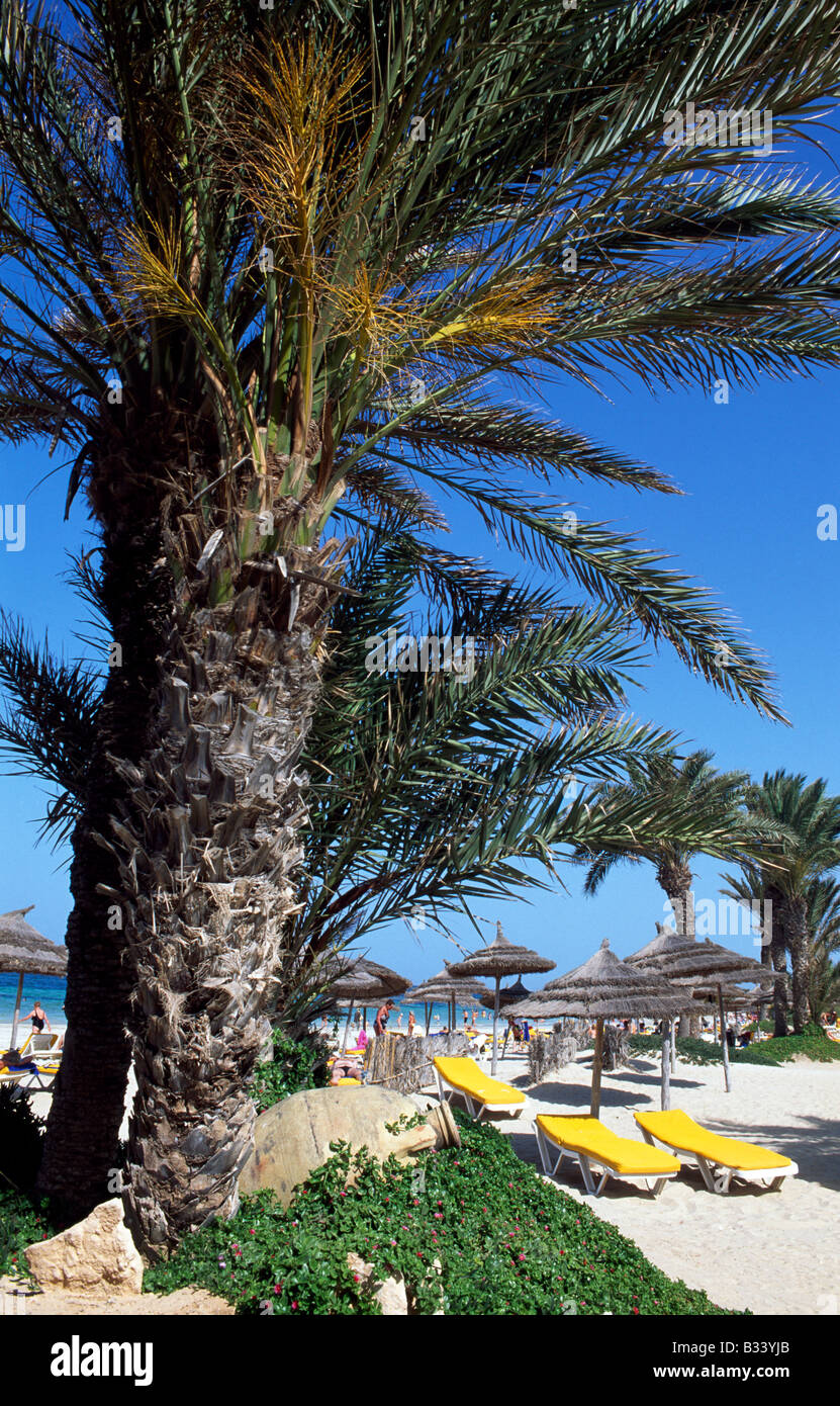 Beach in the Oasis Zarzis Djerba Island Tunisia Stock Photo - Alamy