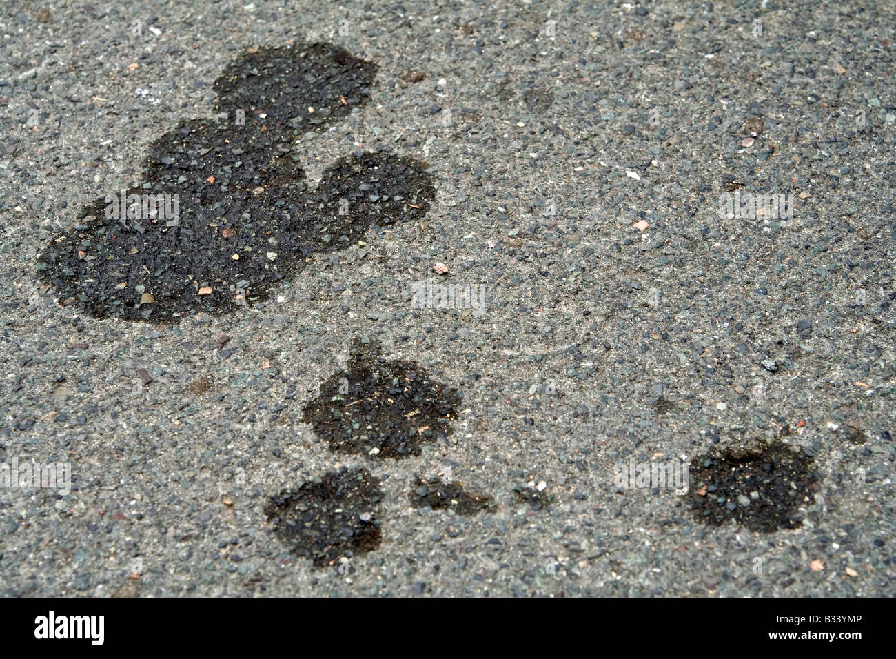 Oil stains on a road, UK Stock Photo - Alamy