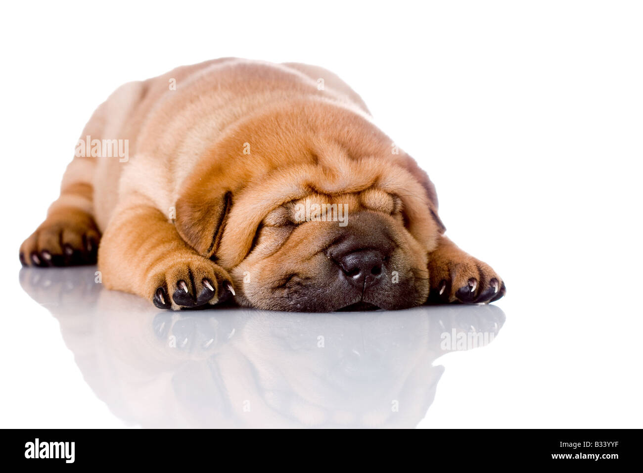 Wrinkly baby hi-res stock photography and images - Alamy
