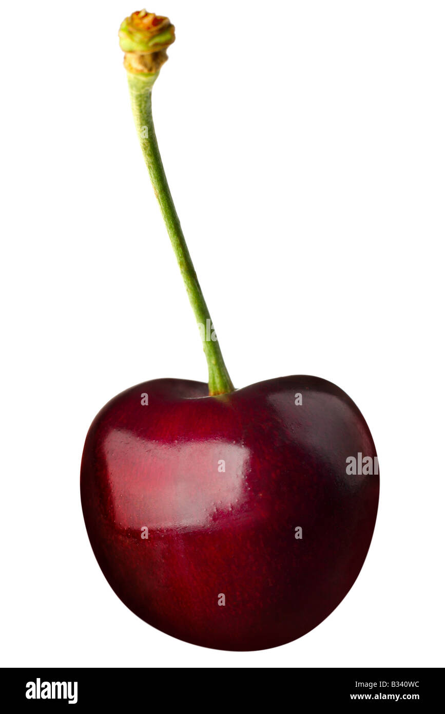 Red cherry closeup isolated on white background Stock Photo - Alamy