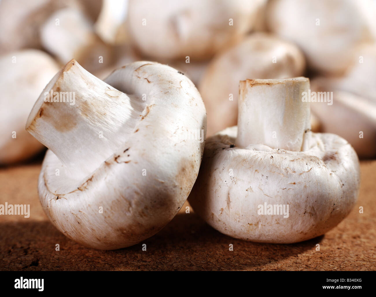 Mushroom champignon group closeup on brown background Stock Photo - Alamy
