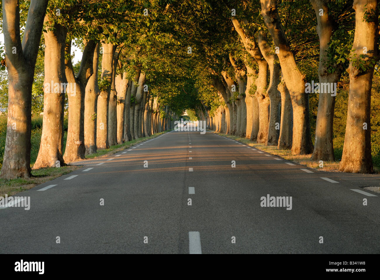 Alley in the Provence, France Stock Photo - Alamy