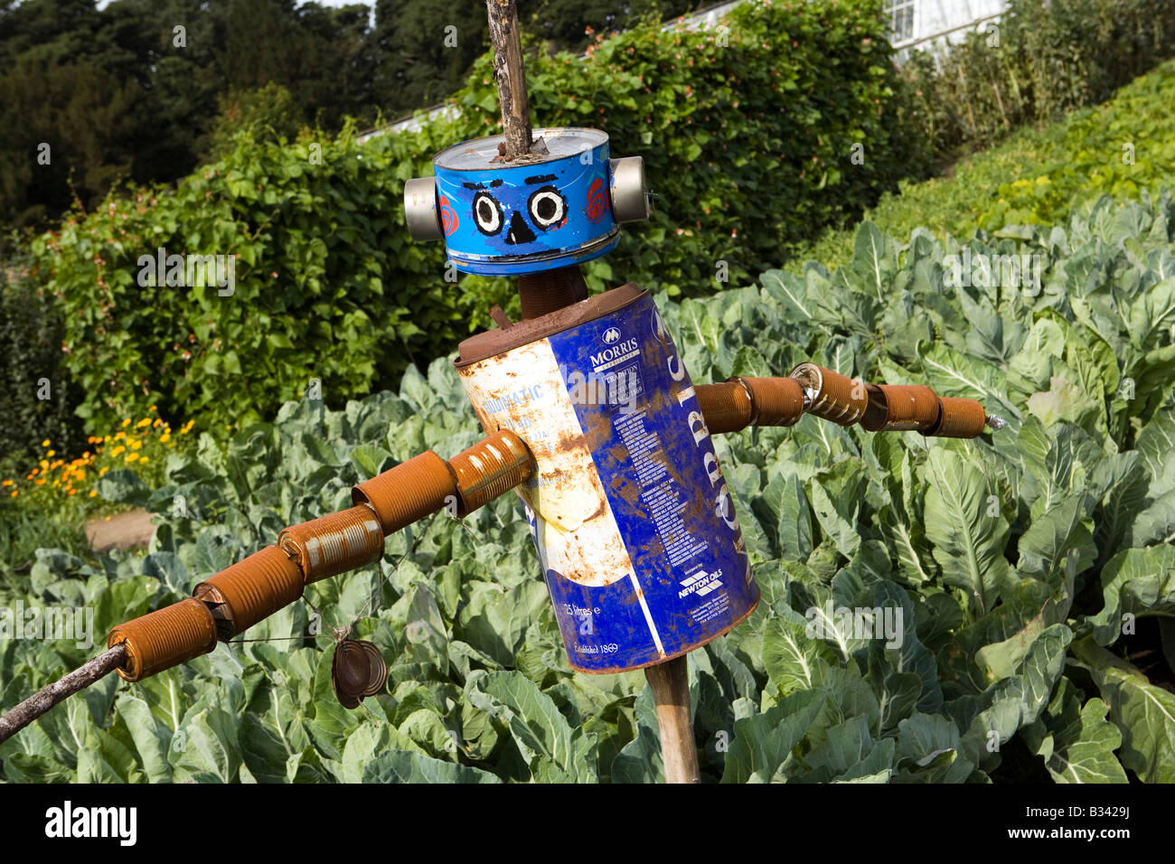 UK Cheshire Knutsford Tatton Hall Kitchen Garden scarecrow made from ...