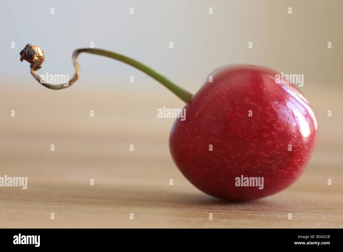 Cherry red single Stock Photo - Alamy
