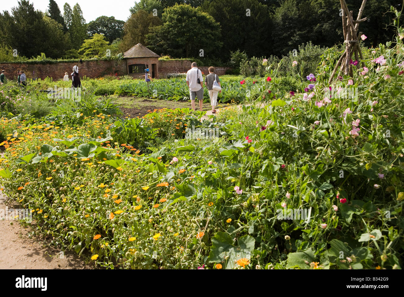 UK Cheshire Knutsford Tatton Hall Kitchen Garden people admiring ...