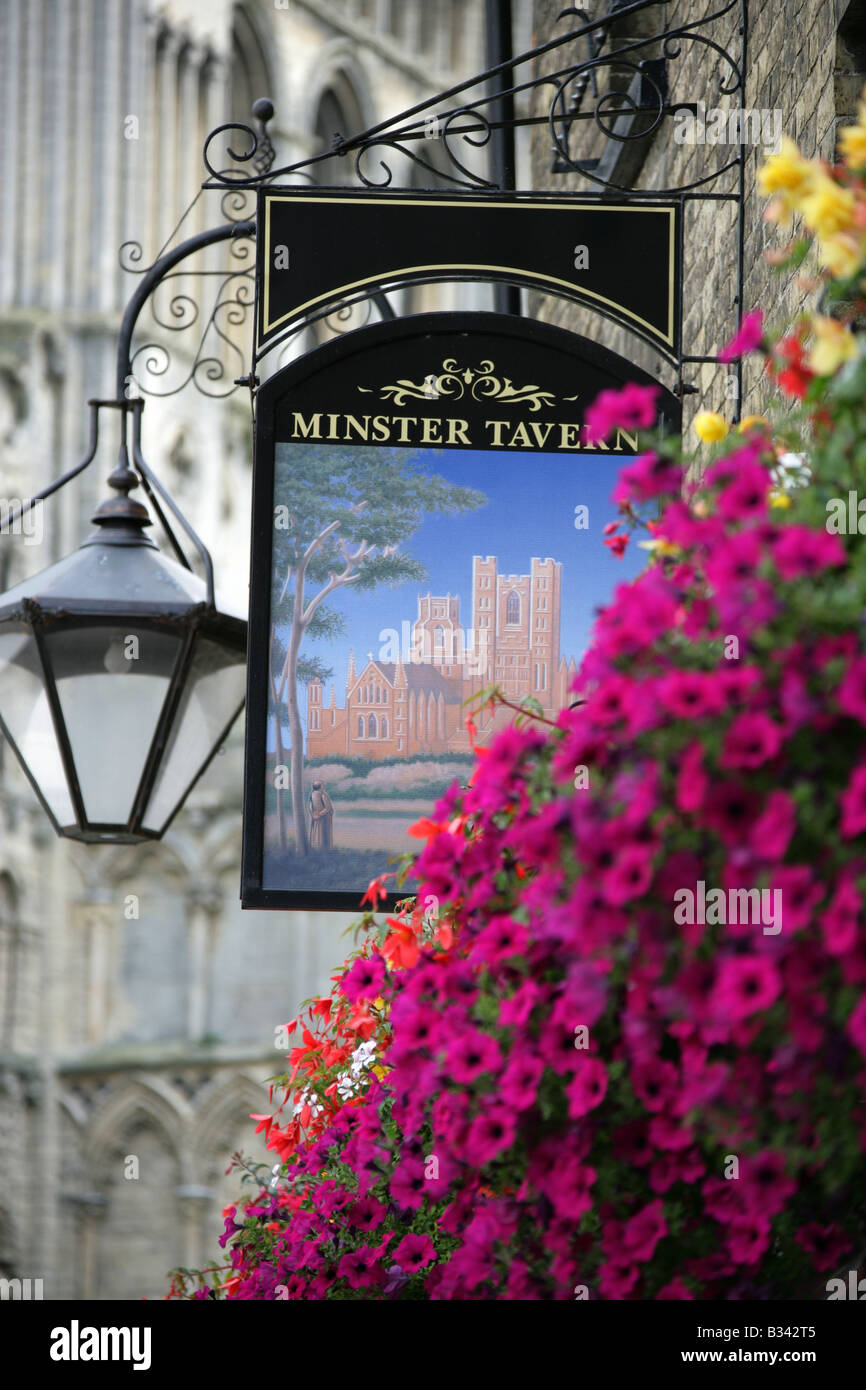 City of Ely, England. Floral display and pub sign above the Minster ...