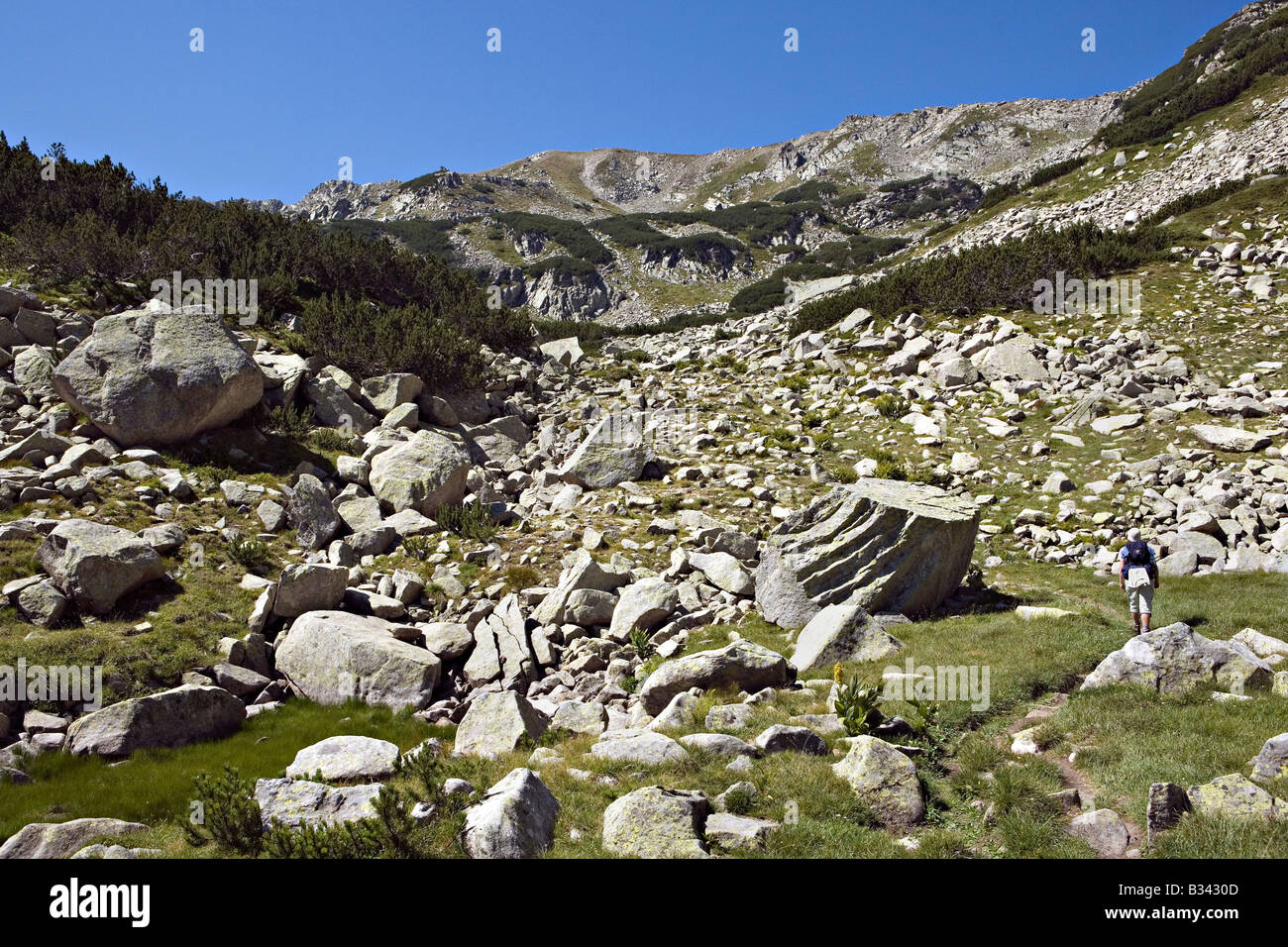 Hiker walking towards Banderitsa pass in World Heritage Site Pirin ...