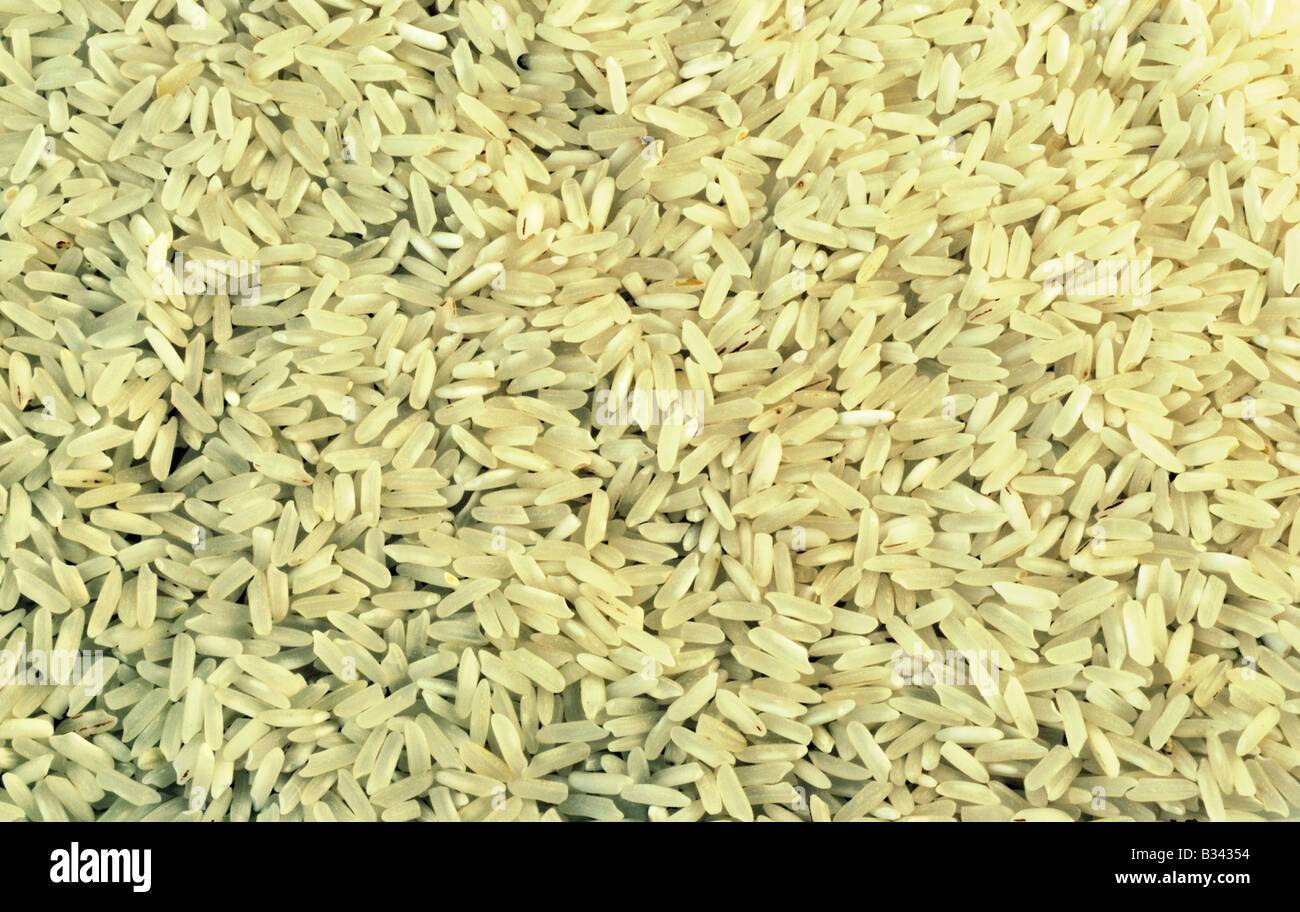 texture from grains of rice closeup background Stock Photo - Alamy