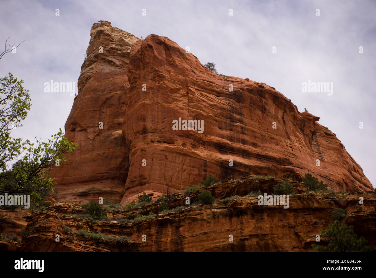 Towering red rock canyon wall at Boynton Canyon, Sedona, Arizona USA ...