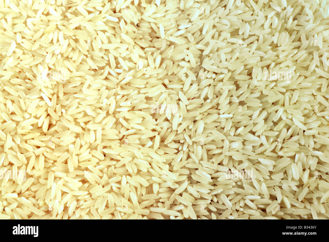 texture from grains of rice closeup background Stock Photo - Alamy