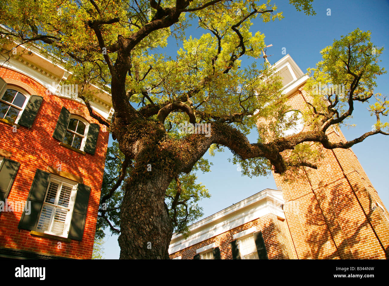 Clock tower, Historic Georgetown, South Carolina Stock Photo - Alamy