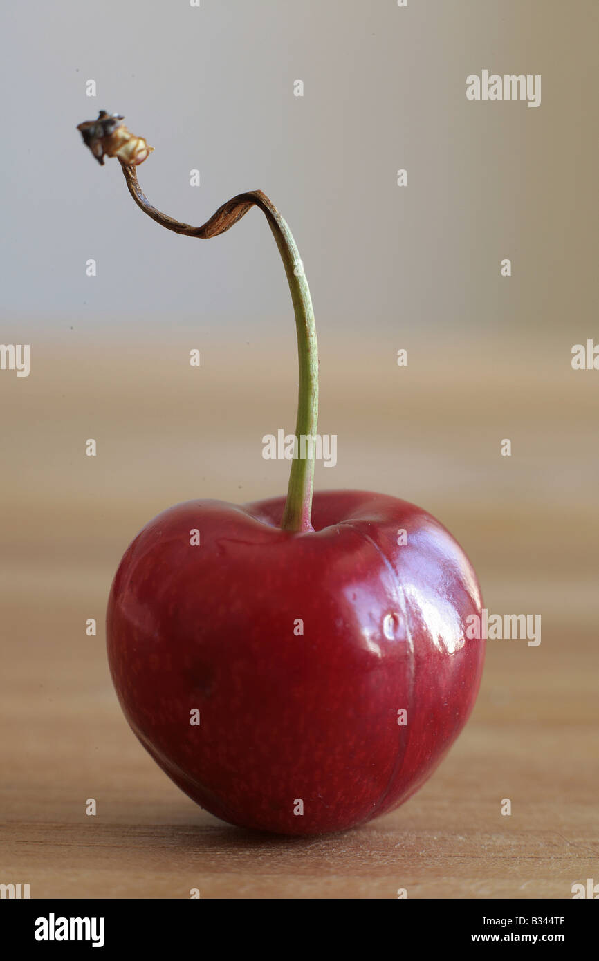 Cherry red single Stock Photo - Alamy