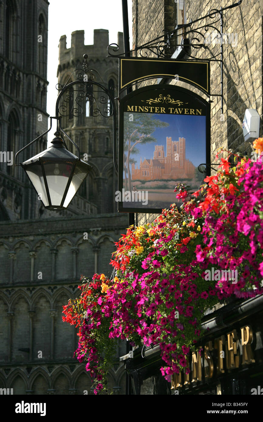 City of Ely, England. Floral display and pub sign above the Minster ...