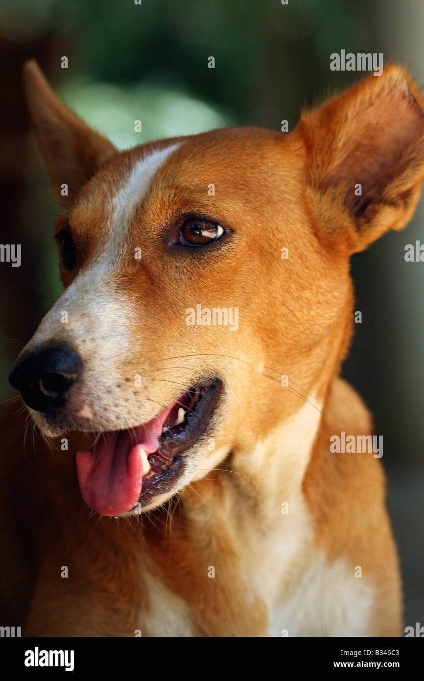 Jane camp hi-res stock photography and images - Alamy