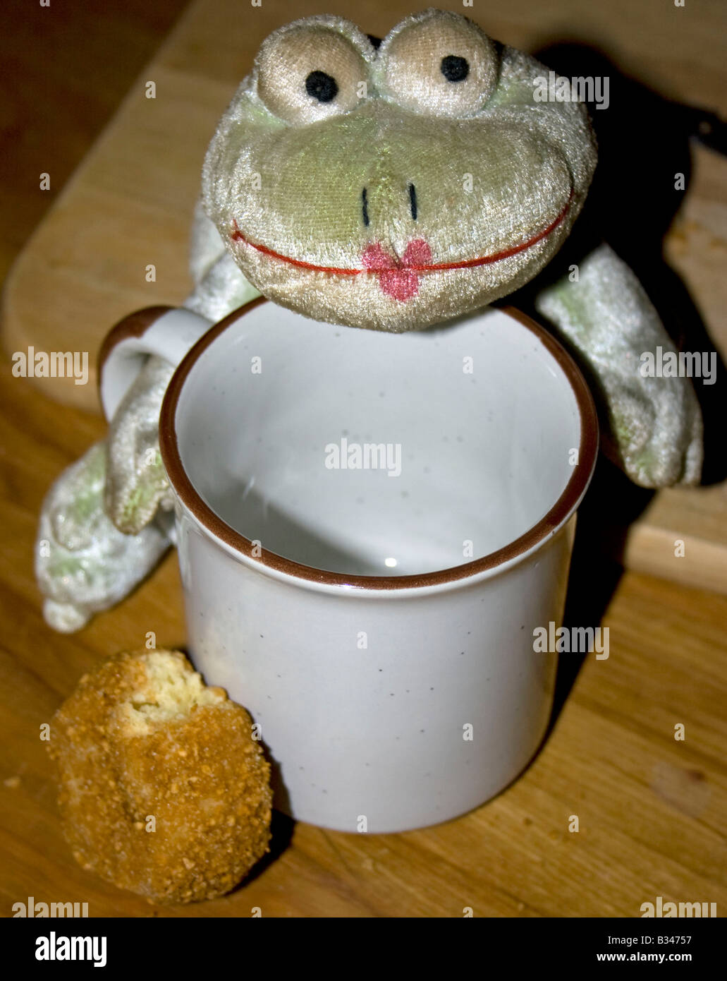 Smiley frog hi-res stock photography and images - Alamy