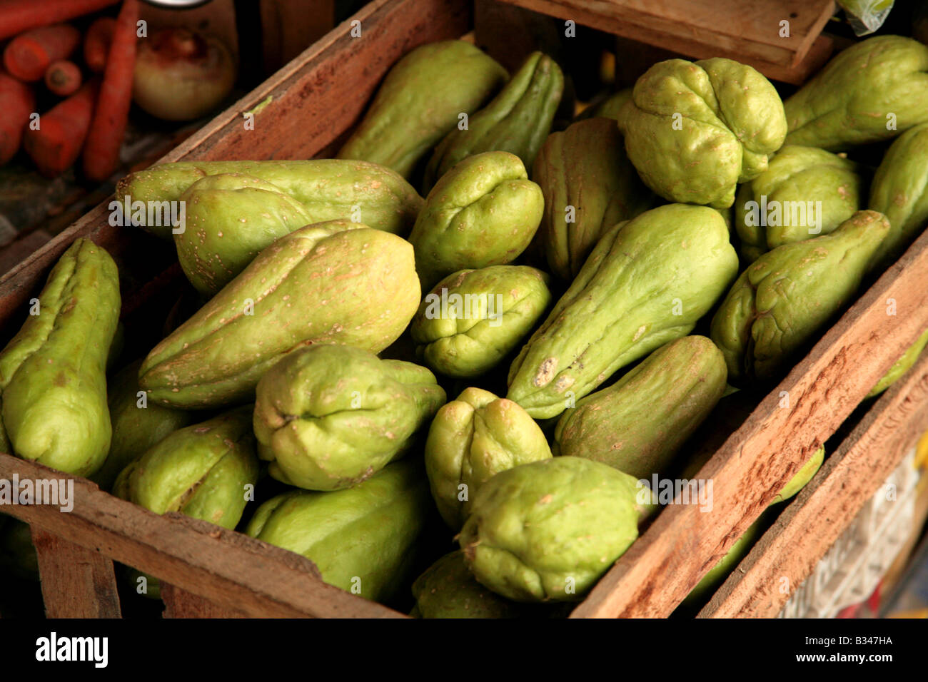 Panama food tour hi-res stock photography and images - Alamy