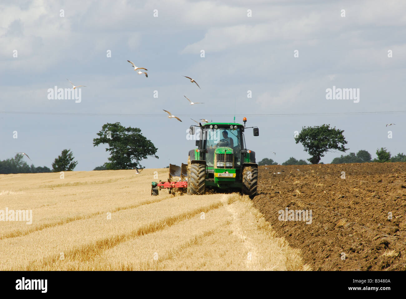 Ploughing after harvest Stock Photo - Alamy