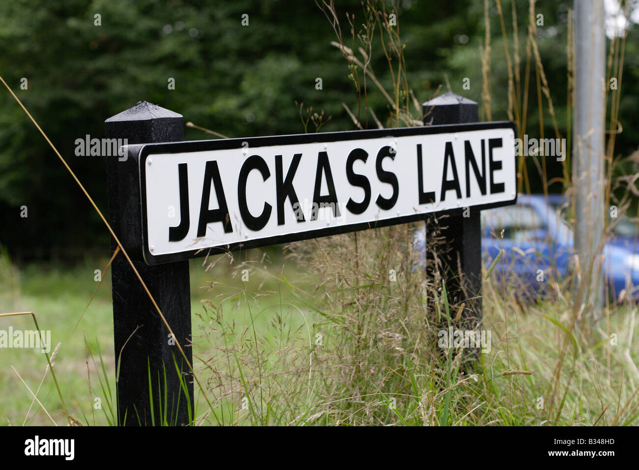 Jackass Lane sign on roadside Stock Photo - Alamy