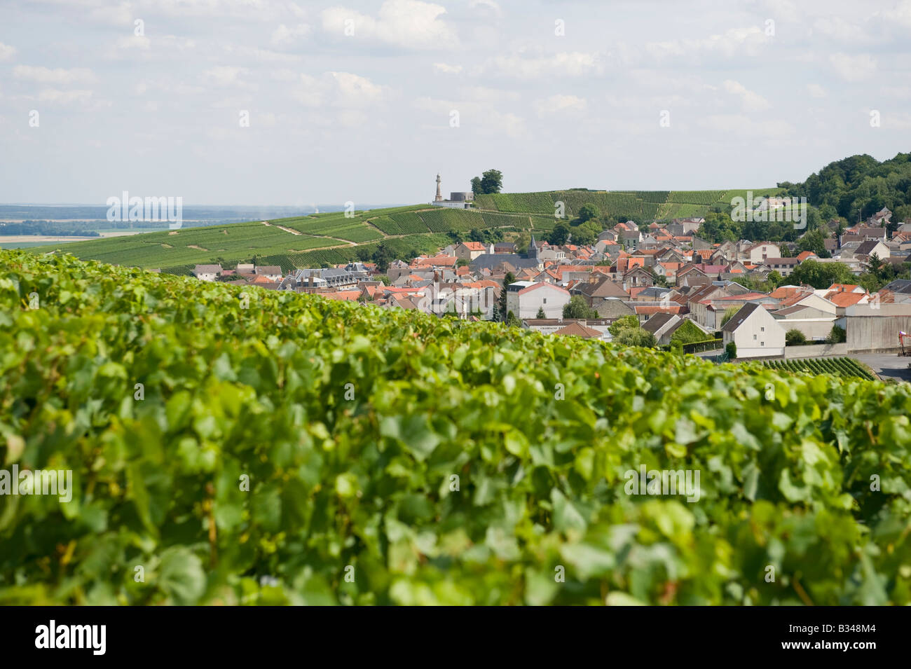 Verzy Champagne High Resolution Stock Photography and Images - Alamy