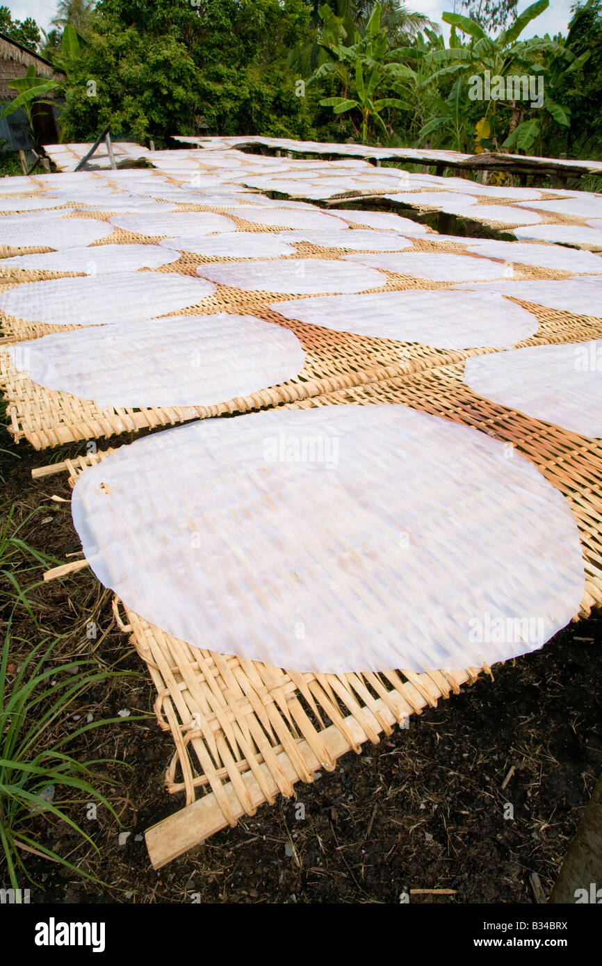 Rice paper production hi-res stock photography and images - Alamy