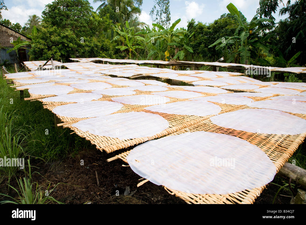 Rice paper production hi-res stock photography and images - Alamy