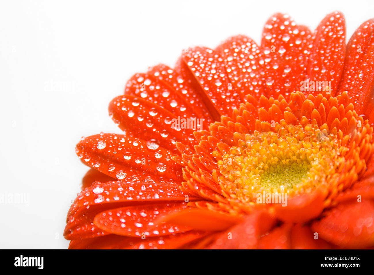 Red teardrops hi-res stock photography and images - Alamy