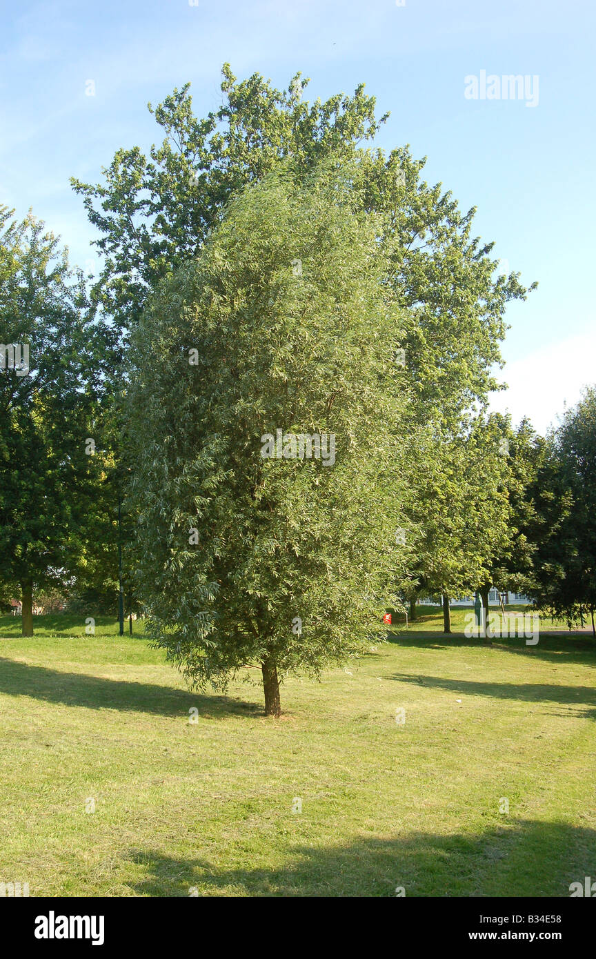 St raphael's estate hi-res stock photography and images - Alamy