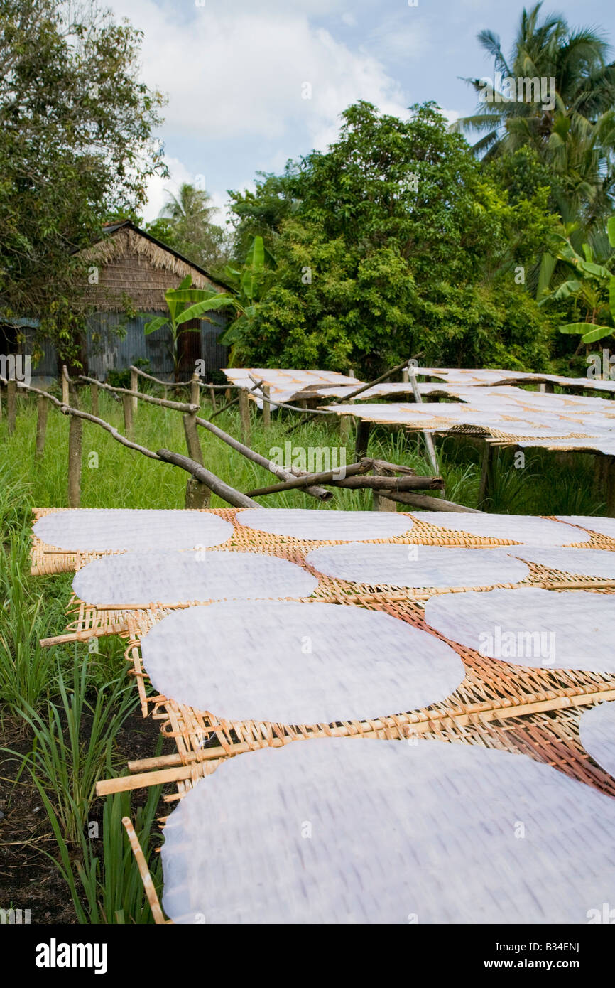 Rice paper being dried by the sun Stock Photo - Alamy