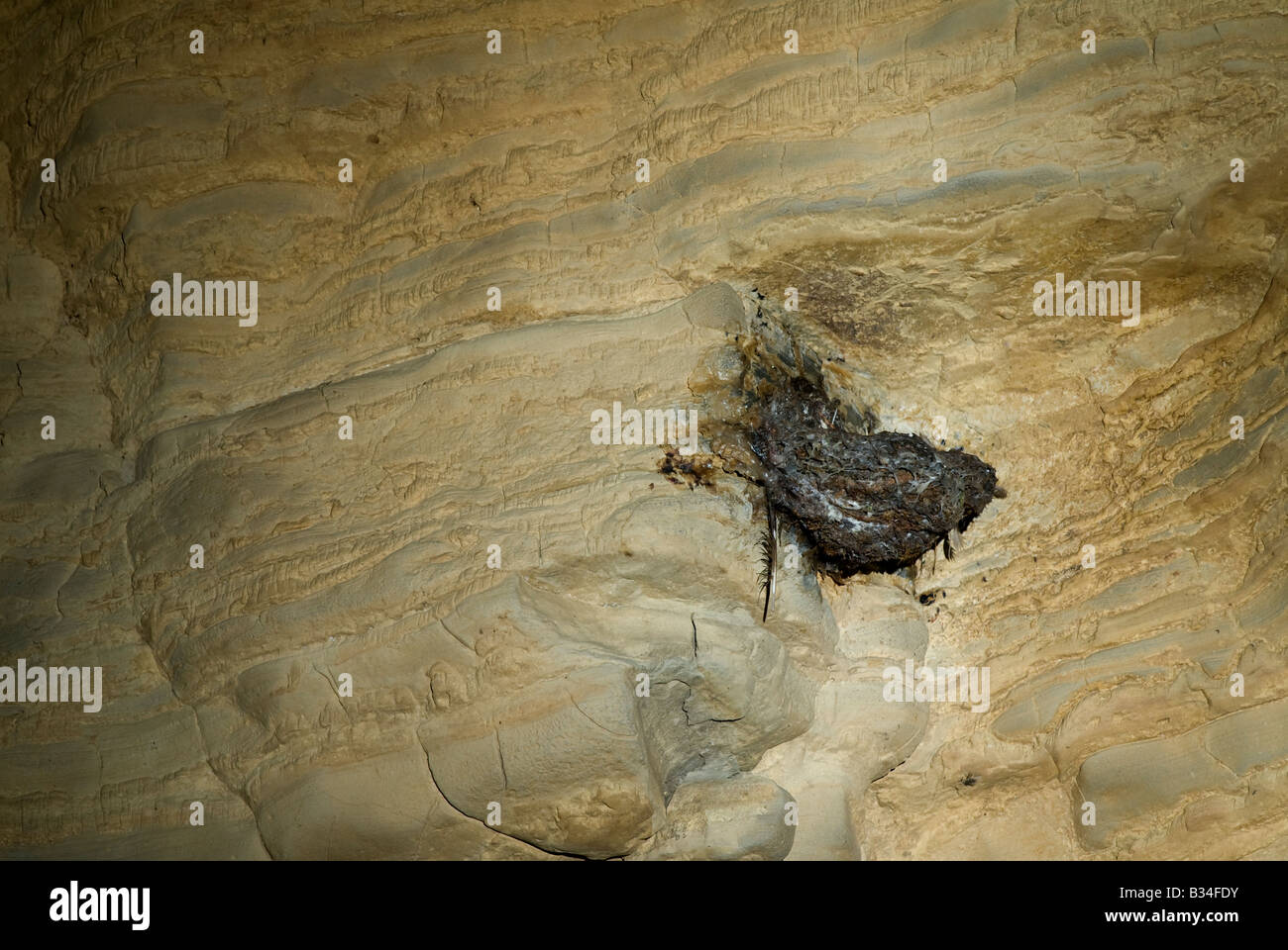 Swiftlet cave hi-res stock photography and images - Alamy