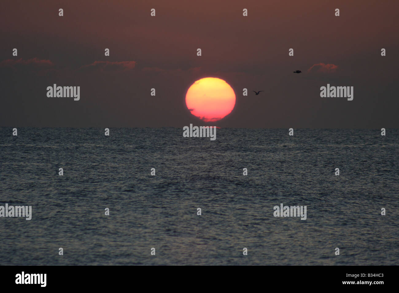 Distorted effect hi-res stock photography and images - Alamy