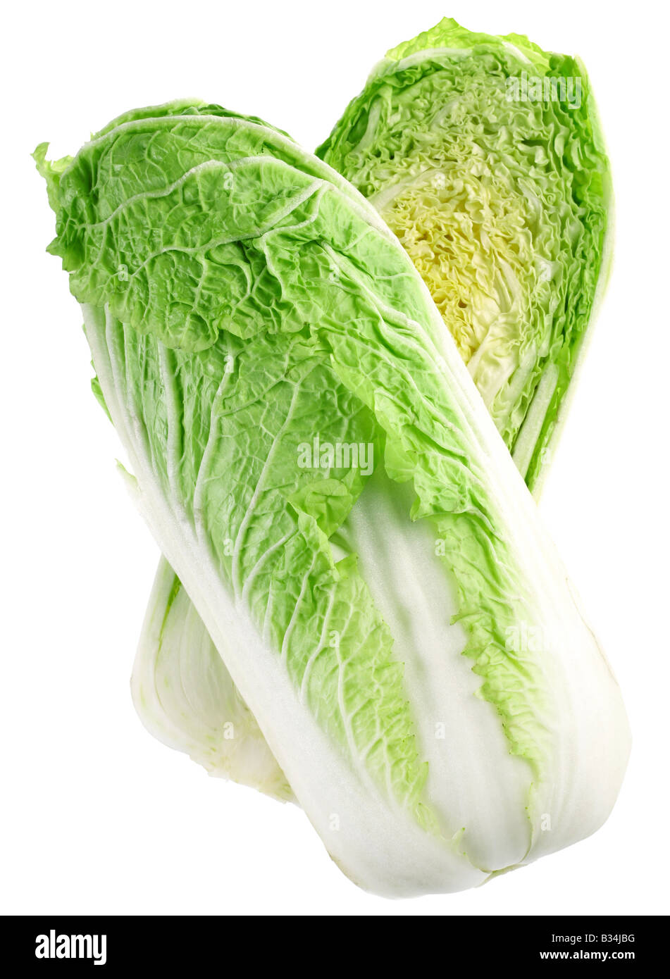 Cabbage chinese vegatable isolated on white background Stock Photo - Alamy