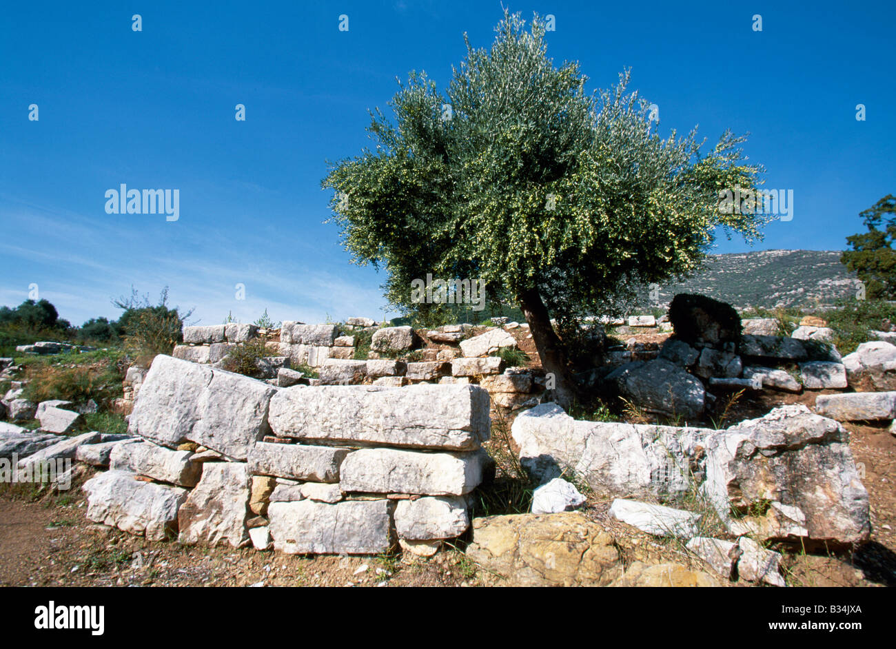 Mt ithomi hi-res stock photography and images - Alamy