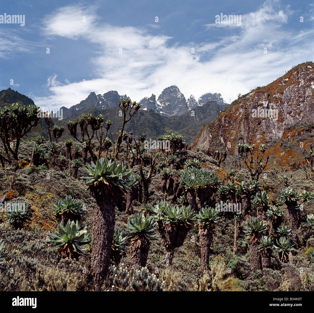 Rwenzori mountains hi-res stock photography and images - Alamy