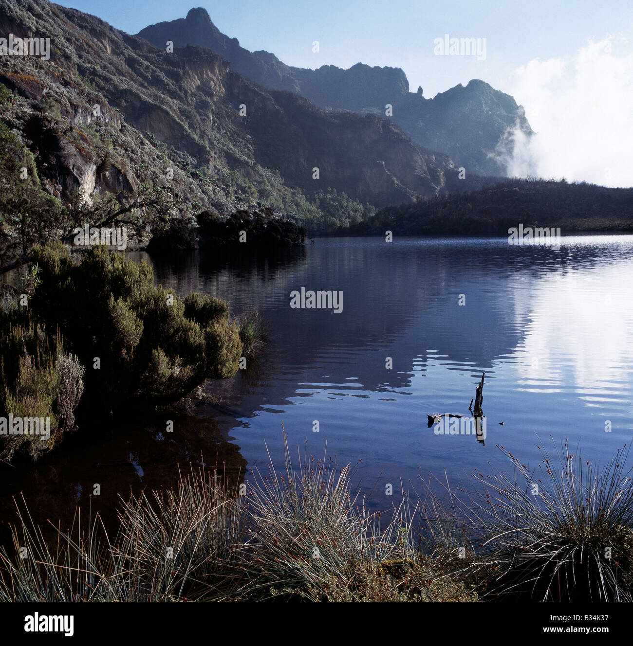 Uganda, Western Uganda, Rwenzori Mountains. Lake Kitandara (south ...