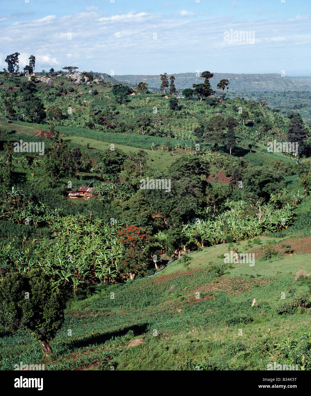 Mount elgon foothills hi-res stock photography and images - Alamy