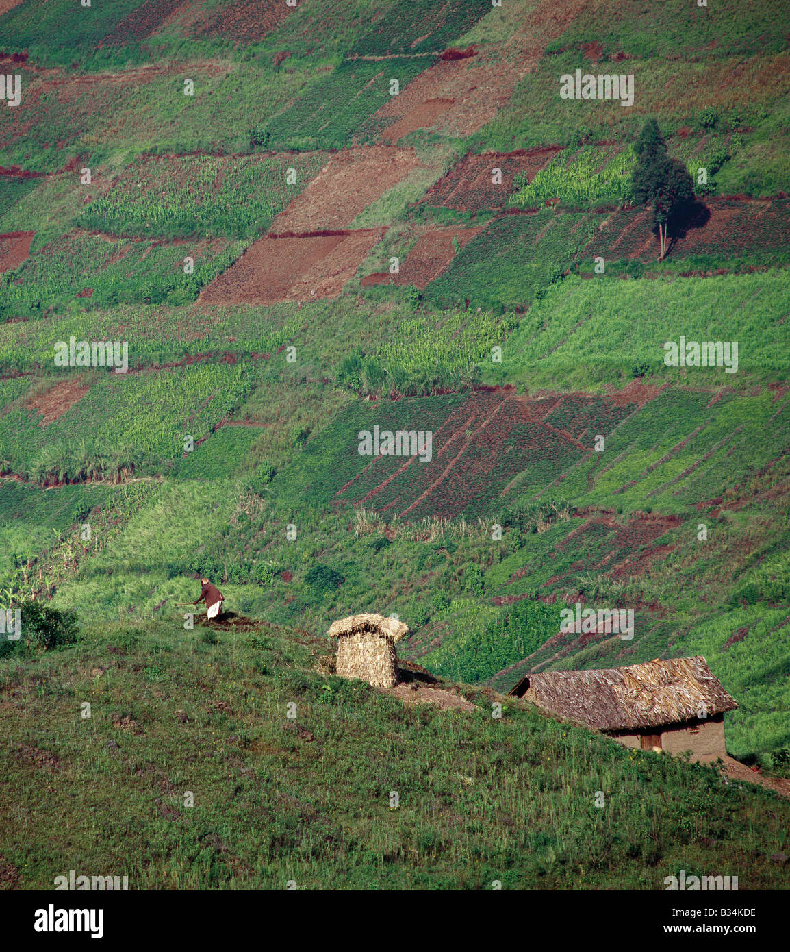Terrace farming rwanda hi-res stock photography and images - Alamy