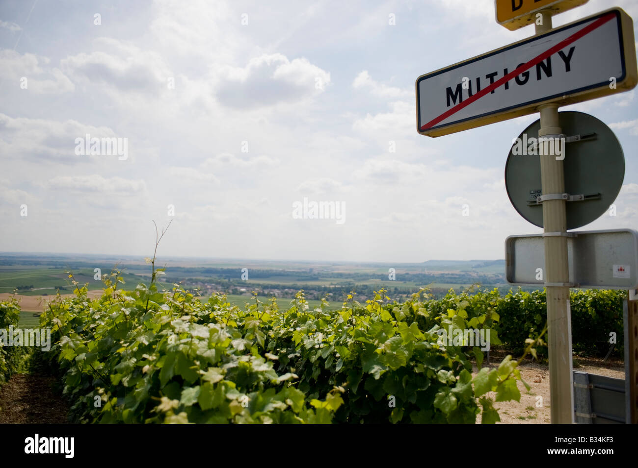 vineyard and exit sign to Mutigny village champagne ardenne france ...