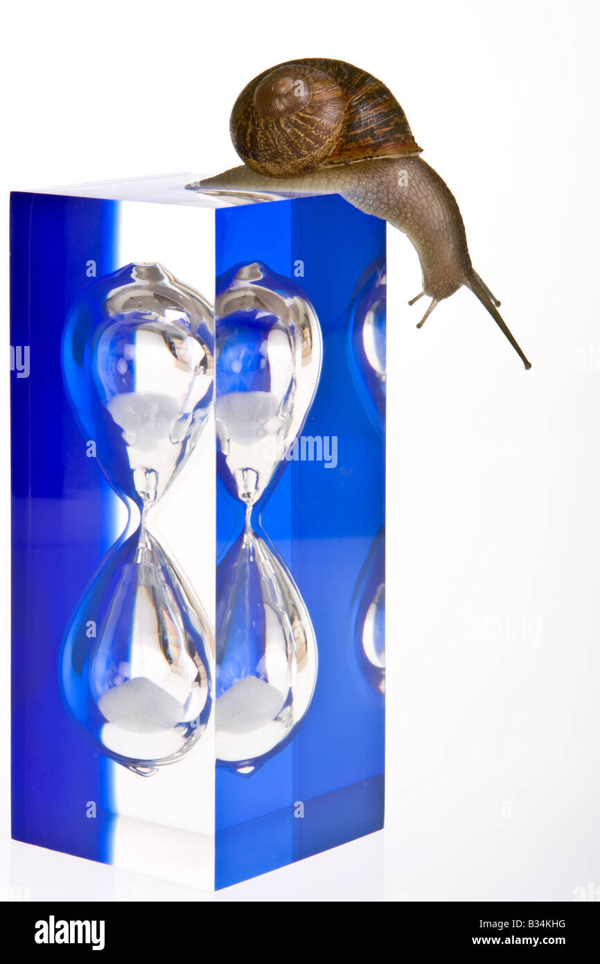 Funny snail waiting on a modern hour glass Stock Photo - Alamy