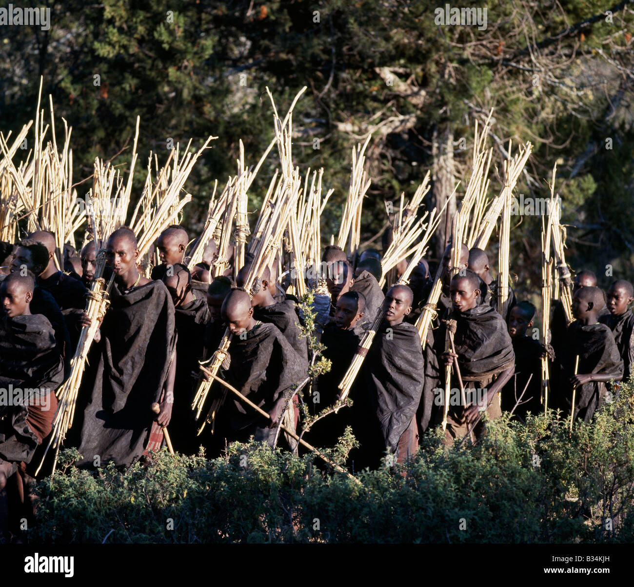 Kenya, Samburu District, Porro. Mothers rub animal fat into their sons ...