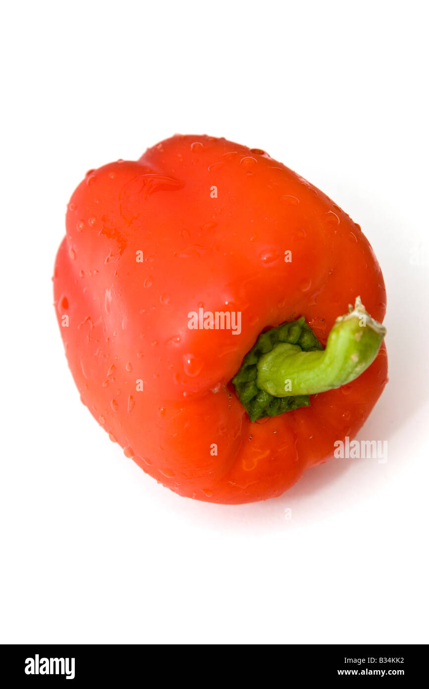 A red pepper on a white background Stock Photo - Alamy