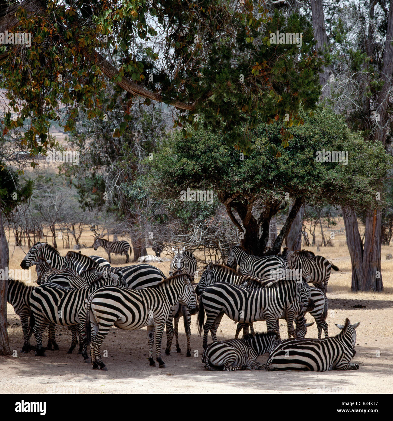 Maralal district hi-res stock photography and images - Alamy