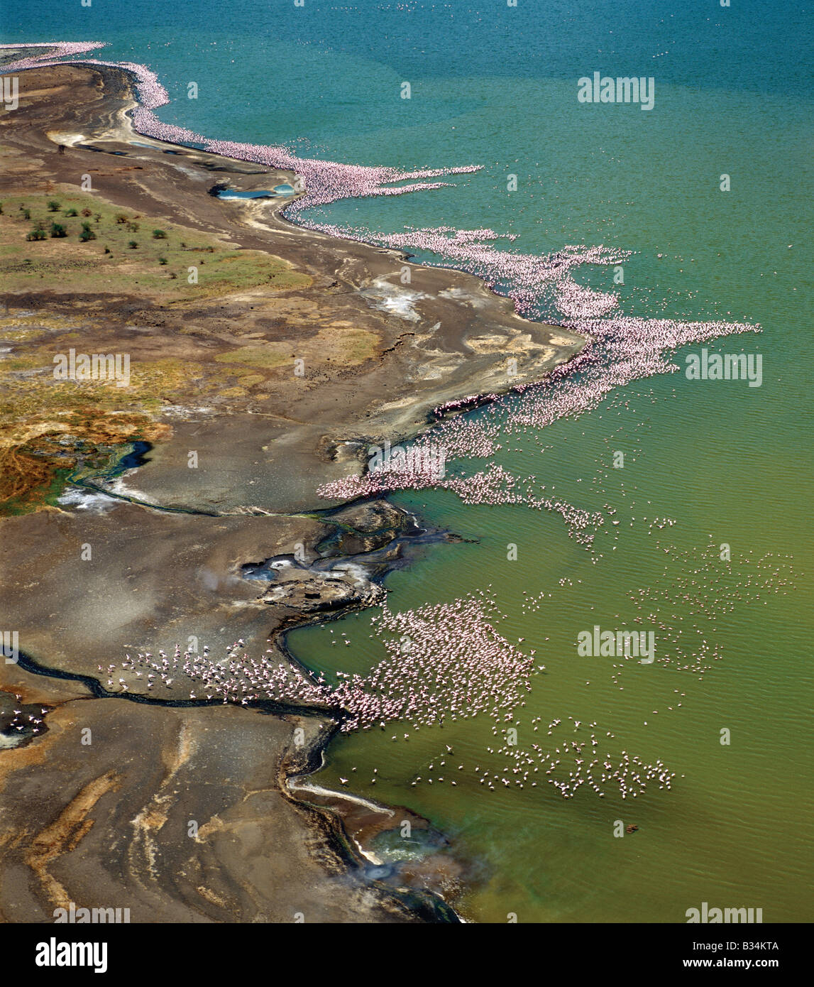Kenya, Rift Valley Province, Lake Bogoria. The alkaline waters of Lake ...