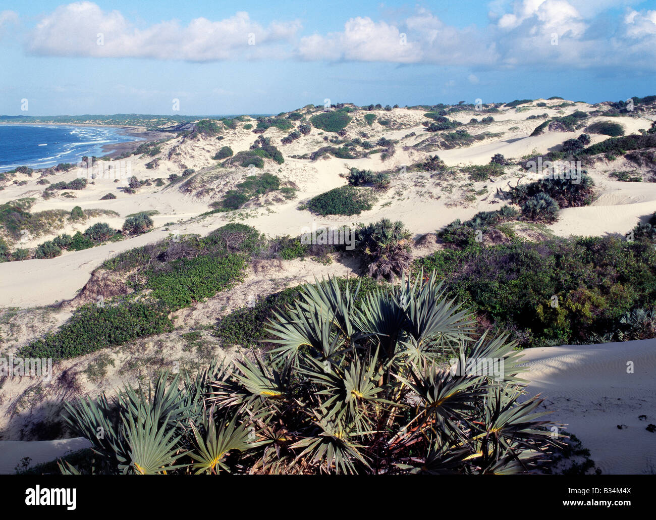 Shela beach kenya hi-res stock photography and images - Alamy