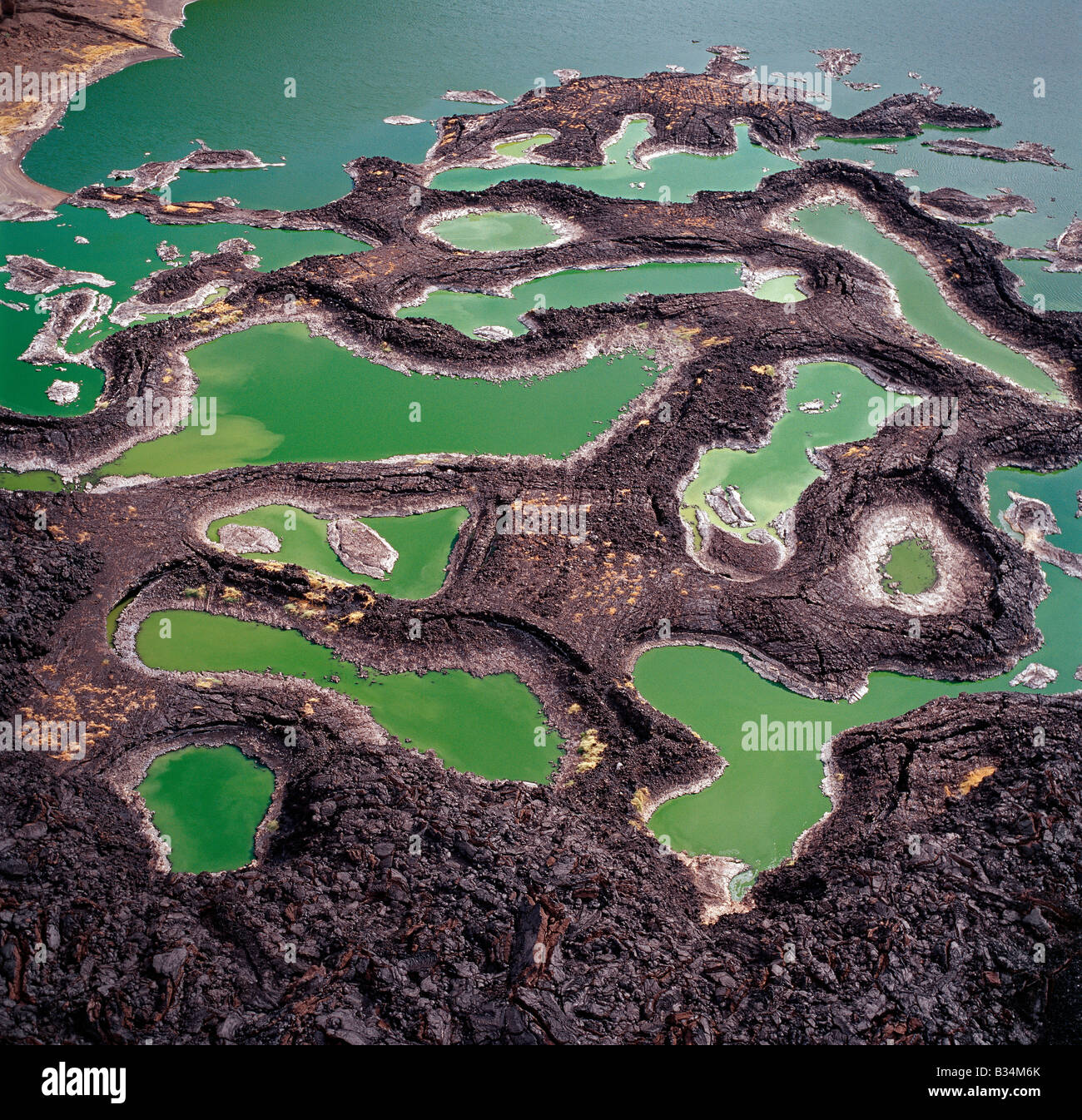 Kenya, Northern Kenya, Lake Turkana. A series of lava rock pools are ...