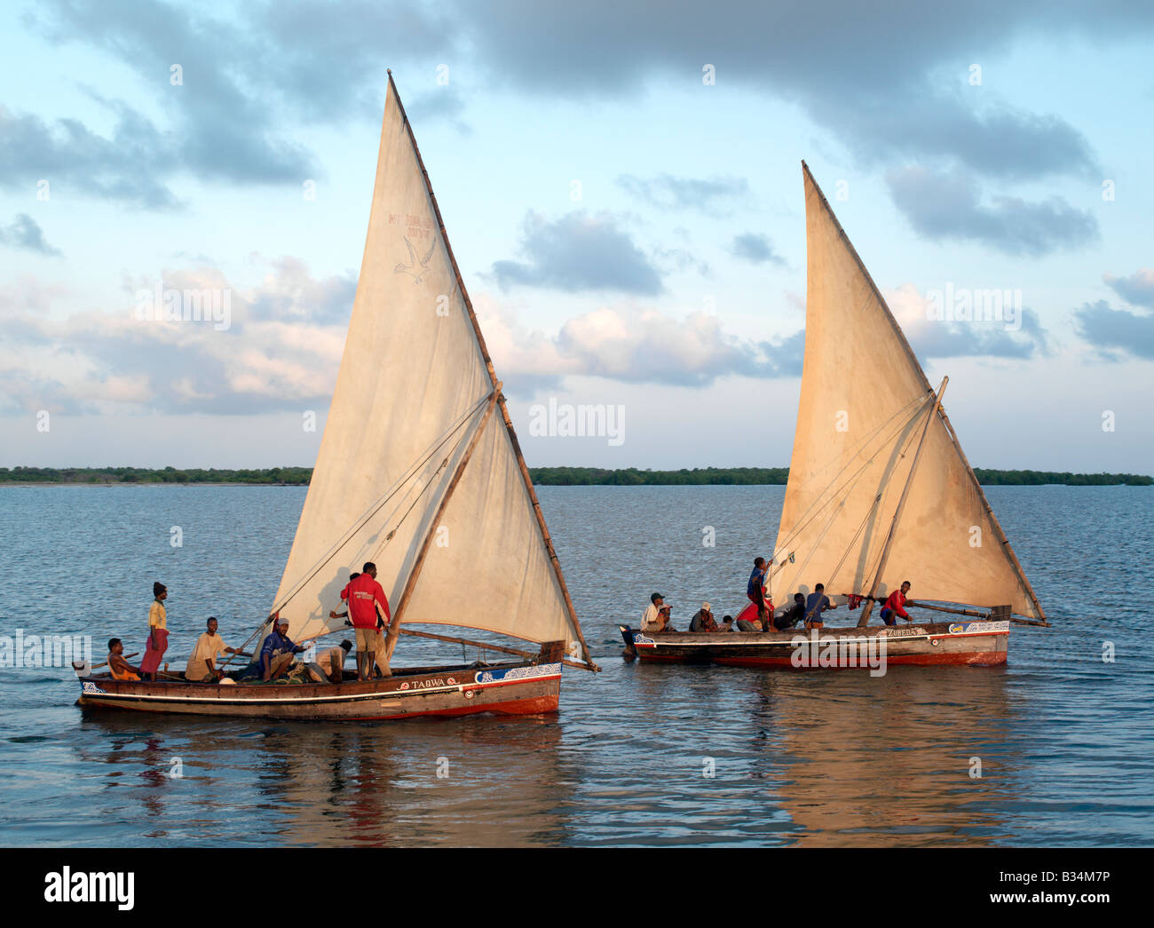 Kenya, Pate Island, Kisingitini. At sunrise the fishing fleet sets sail ...