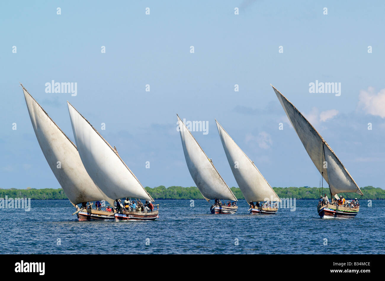 Dhow racing hi-res stock photography and images - Alamy