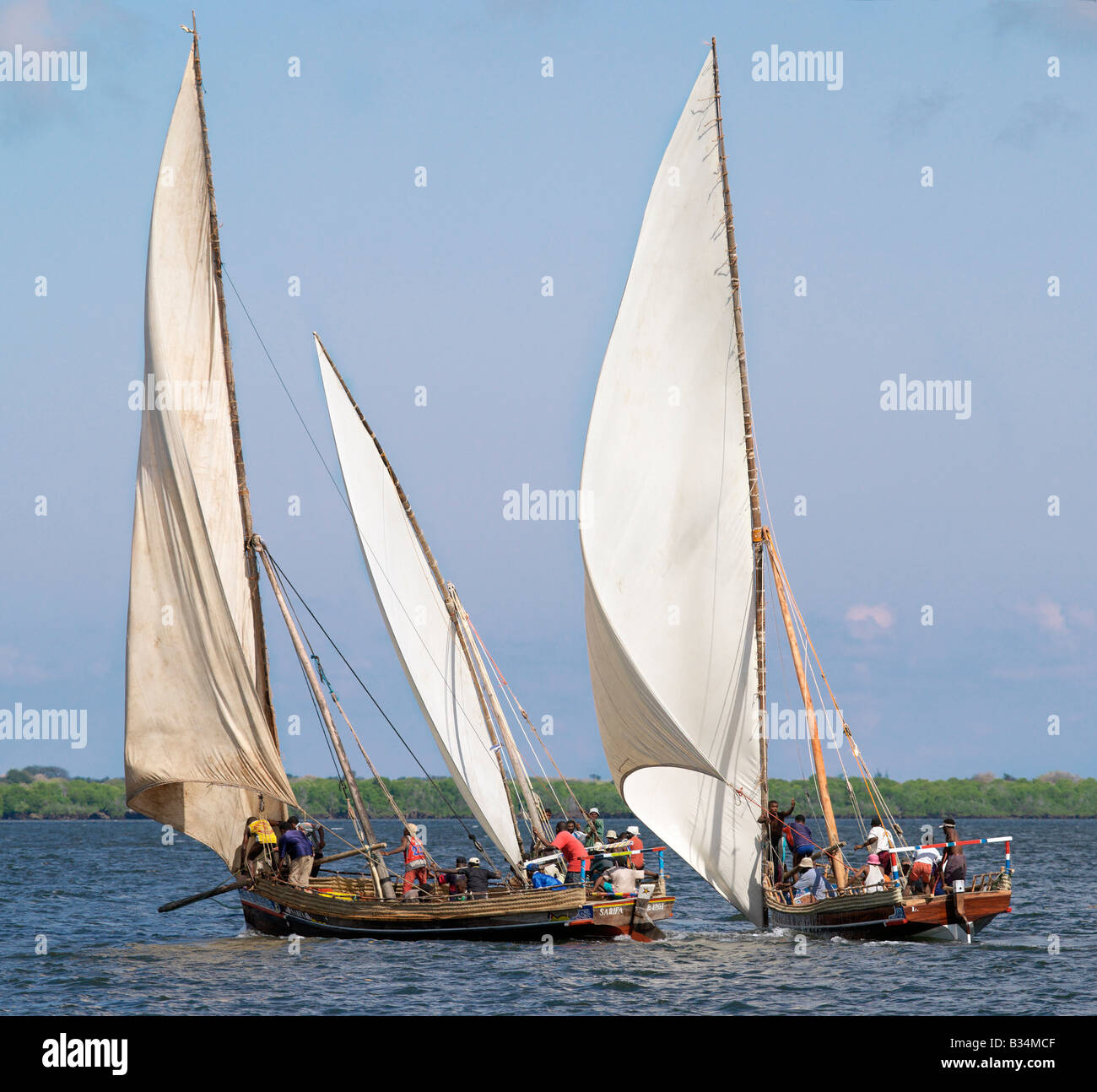 Kenya, Coast Province, Lamu Island. Dhows sailing off Lamu Island. Dhow ...